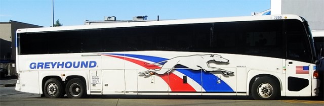 The Beginnings of the Greyhound Bus Company | Every Woman Dreams…