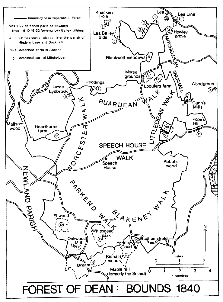 The Forest of Dean | Every Woman Dreams…