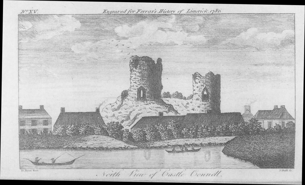 Irish Castles in Ruins: Research for My Next Release, “Lady Chandler’s ...